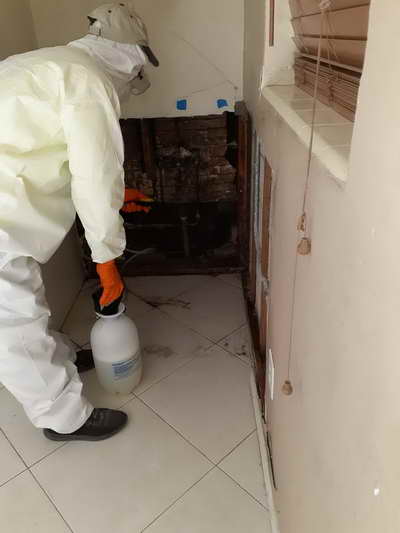 Mold Removal in Bay County Mold Removal in Bay County